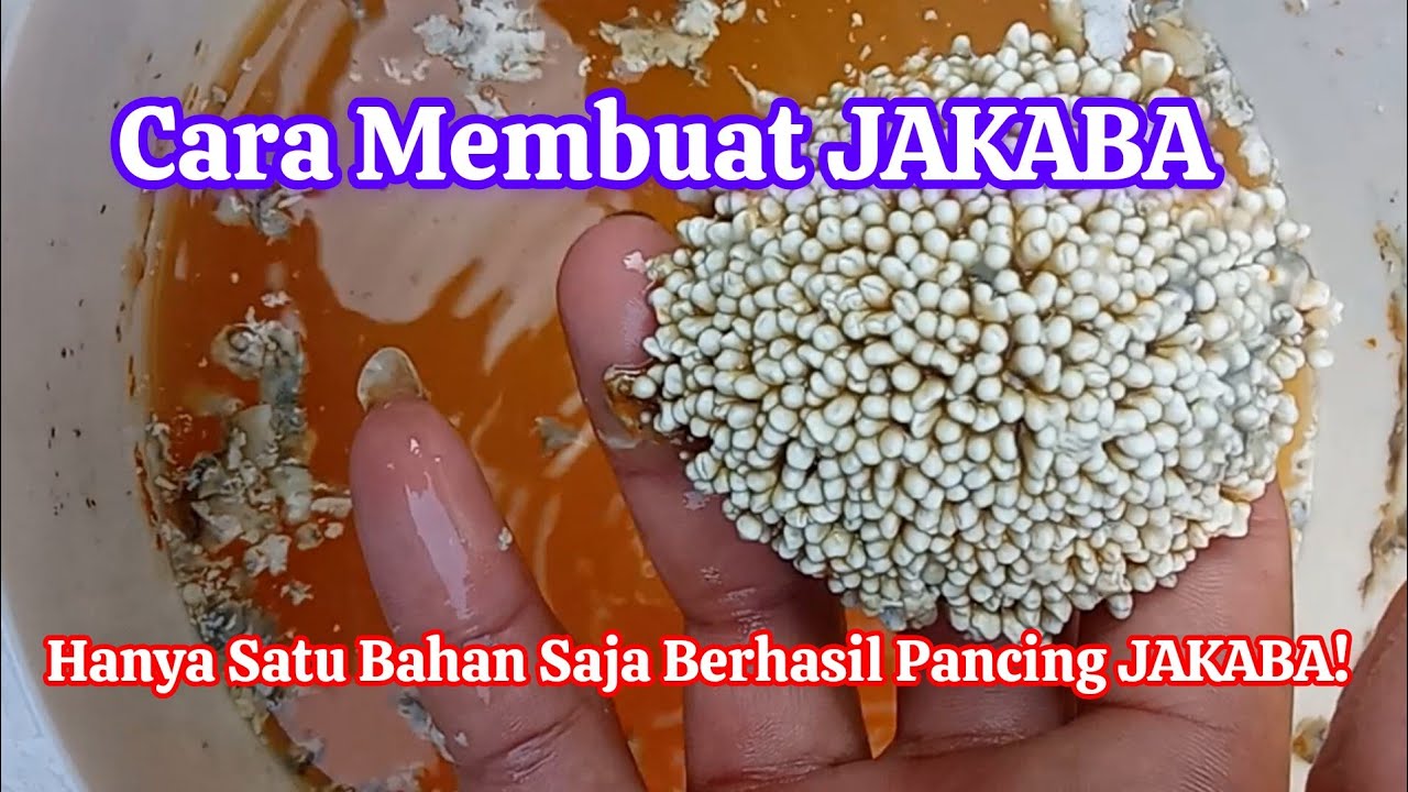 Cara Membuat JAKABA Hanya Satu Bahan Saja!! - YouTube