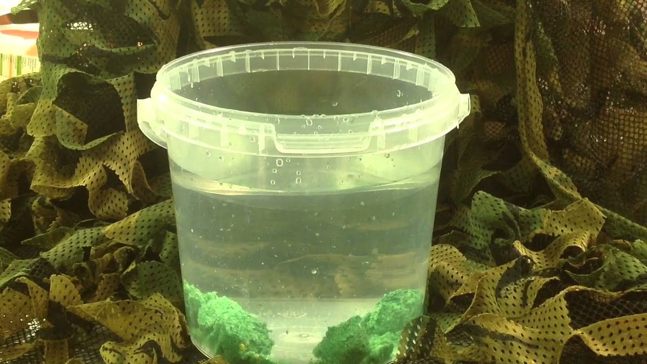Baiting up using a pole cup and the Bait Bomb - YouTube