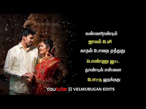 Kottukali 🎵Kottu Naayanam🎶 - Tamil WhatsApp Status 💕💞 - YouTube