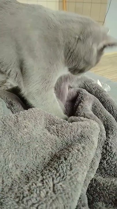 массаж лапкам🤤 - YouTube