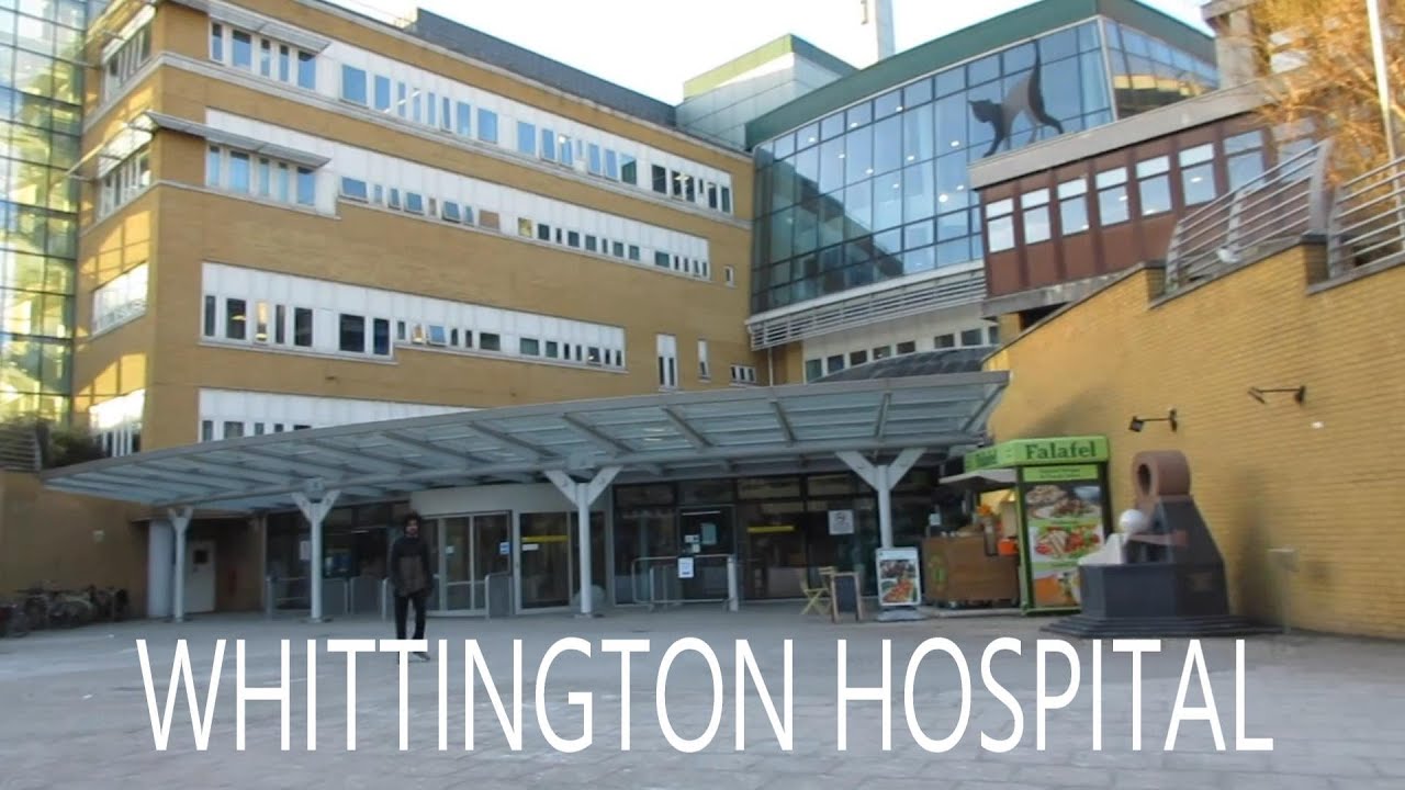 Walking Tour around Whittington Hospital London - YouTube