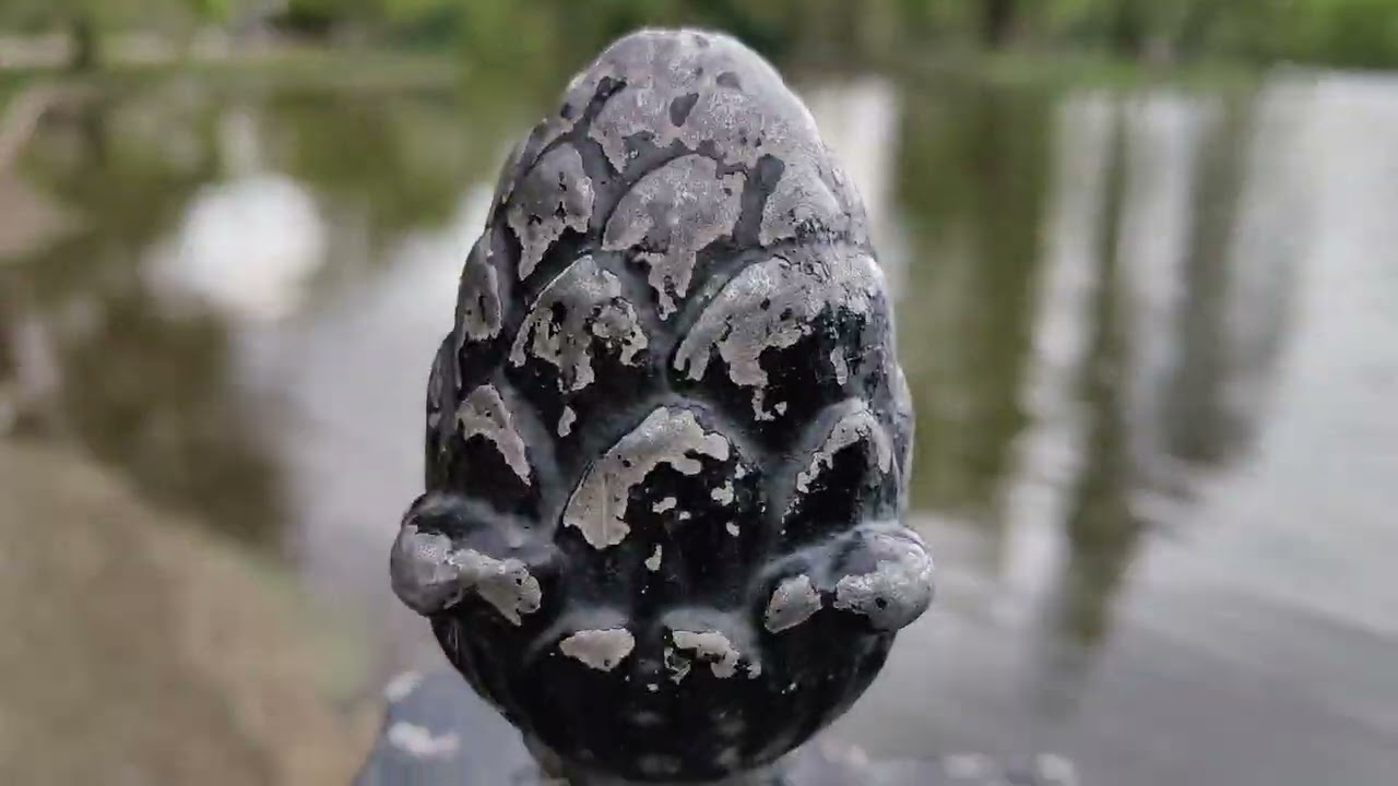 Huawei P60 Pro, 4K Video Sample (Autofocus)