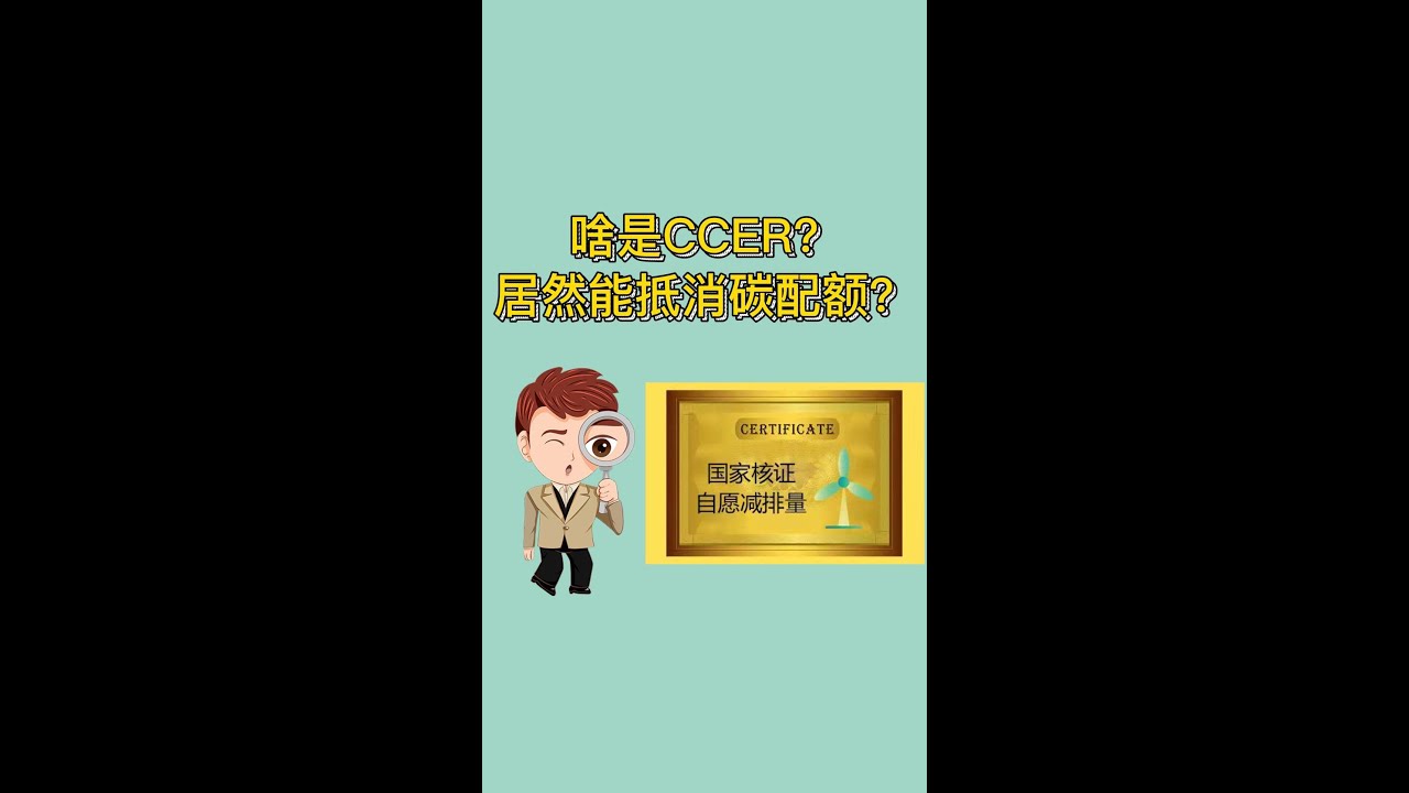 啥是CCER？居然能抵消碳配额？ - YouTube