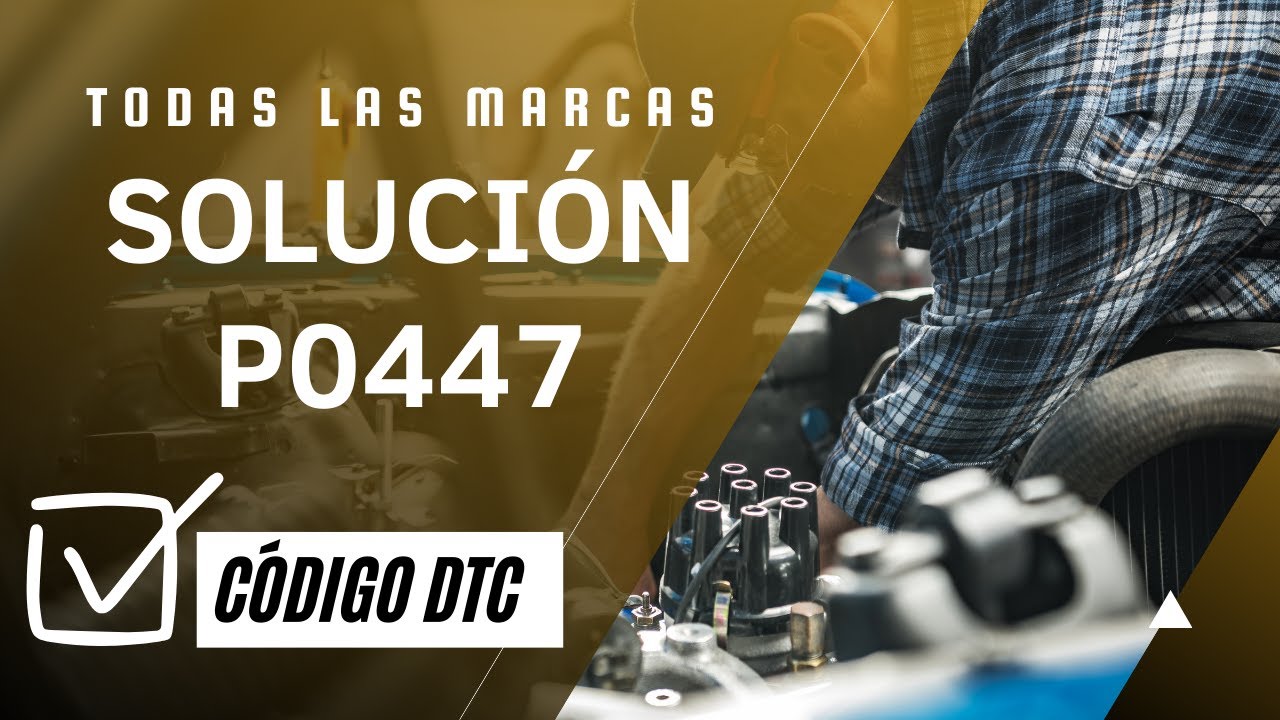 DTC P0447: Qué Significa y SOLUCIÓN【Actualizado 2024】 - YouTube