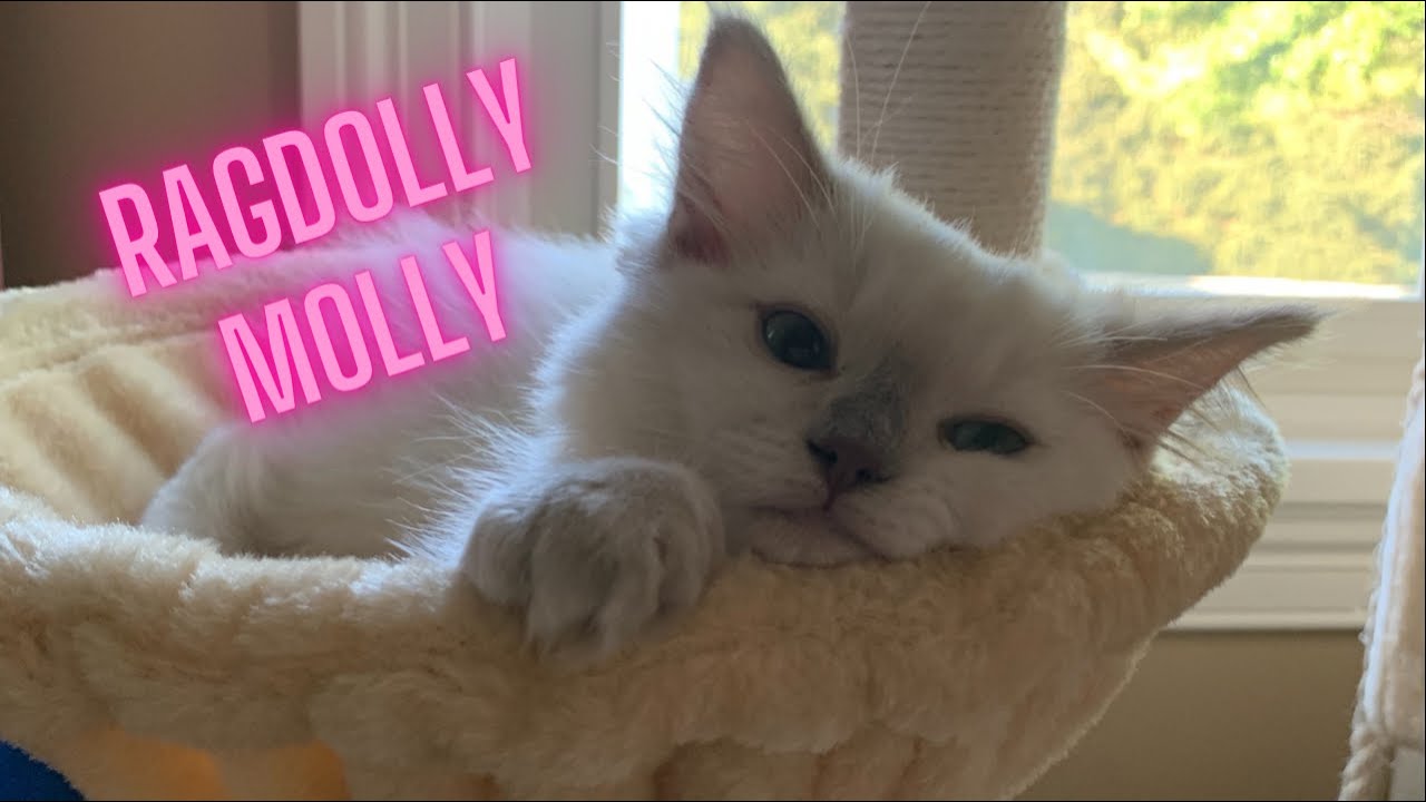 Molly Grows Up - YouTube