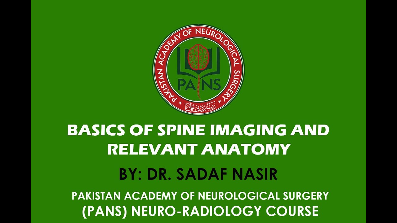 Basics of spine imaging and relevant anatomy by Dr. Sadaf Nasir - PANS ...