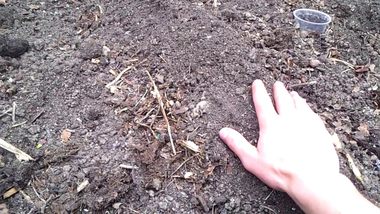 2 How we suffer soil erosion - wind. - YouTube