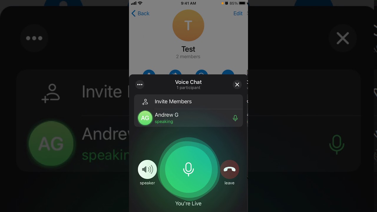 How to start GROUP VOICE CHAT in TELEGRAM? - YouTube