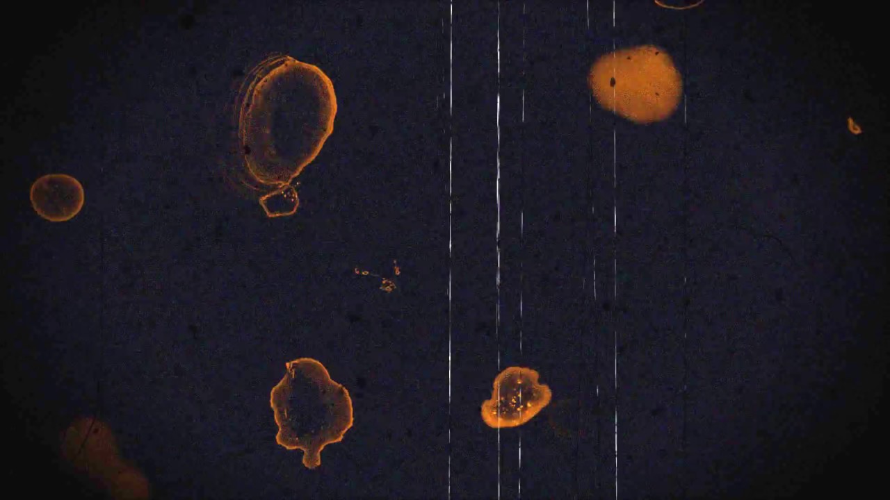 HD film damage overlay - YouTube