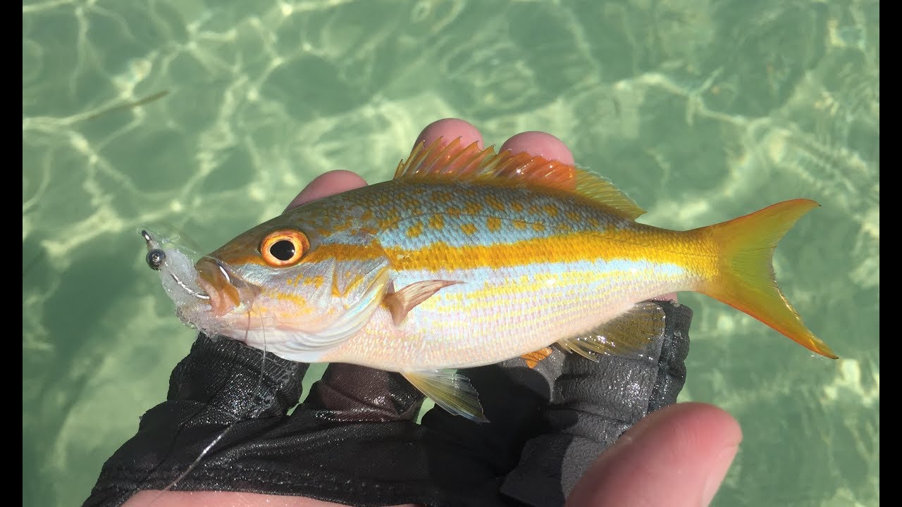 NICK FLY FISHING - PLAYA MUJERES MEXICO - JUNE 2017 - YouTube