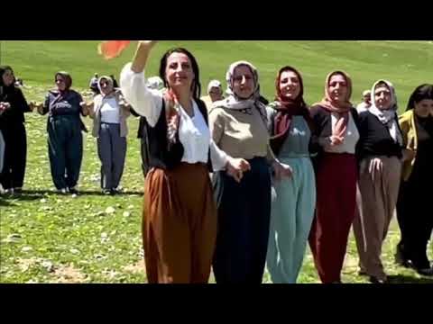 Colorful and Enthusiastic Moments of Women Dancing Halay #halay #kurdish #kurdishlanguage #weddin...