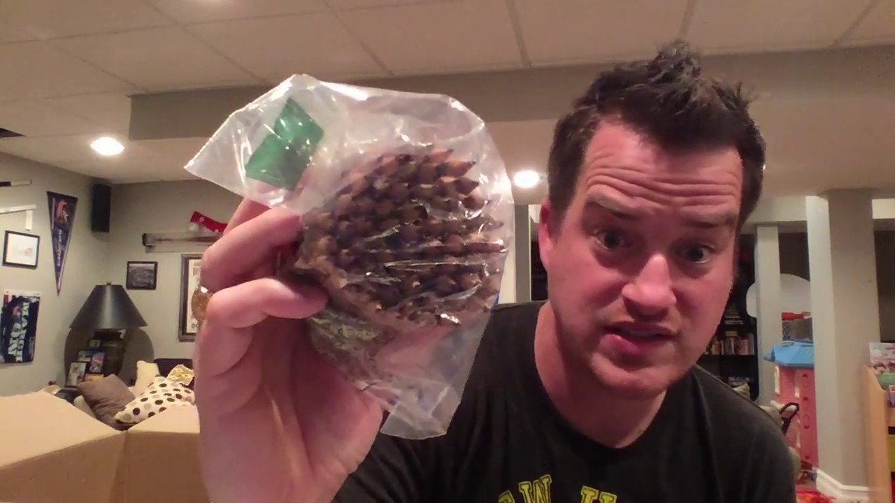 Unboxing Electronics Liquidation Lot and Some Office Supplies - YouTube