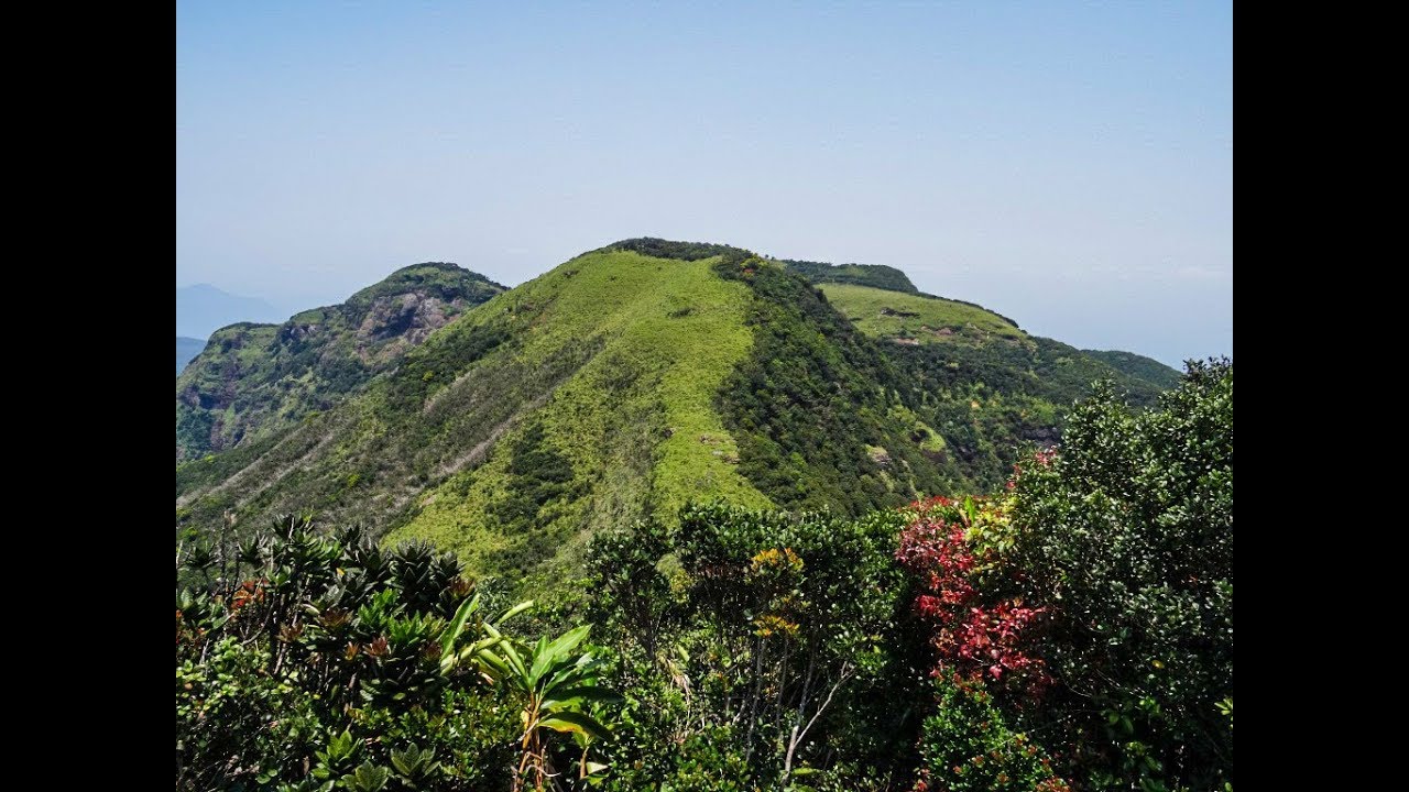 Hike to Knuckles Mountain from Thangappuwa | තංගප්පුවේ සිට නකල්ස් තරණය ...