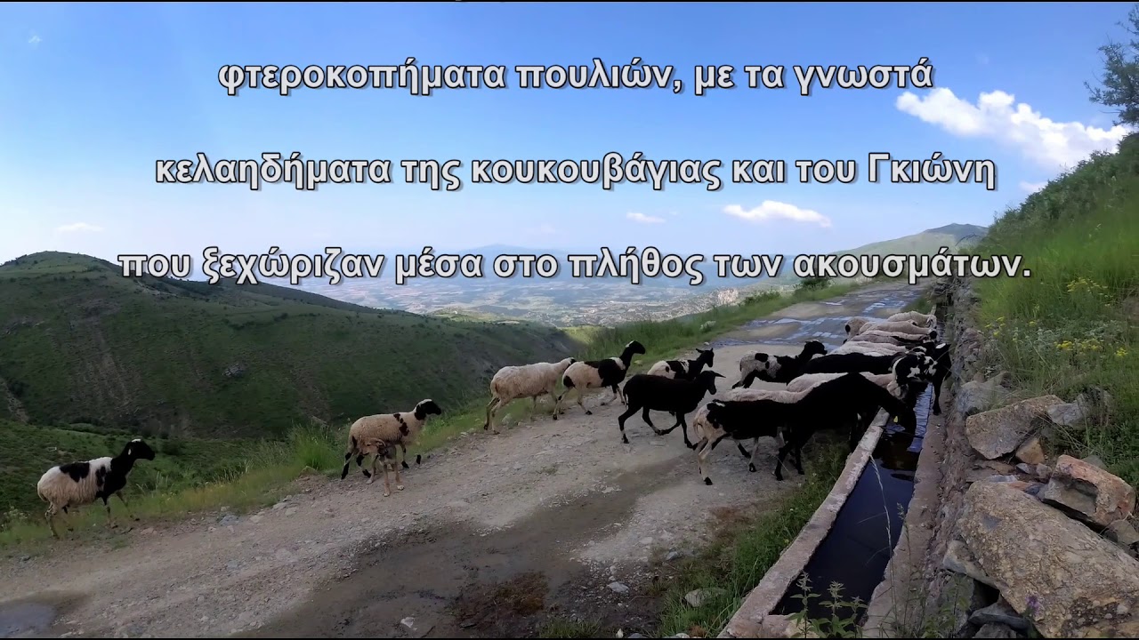 Ο ΣΚΑΡΟΣ ΤΩΝ ΚΤΗΝΟΤΡΟΦΩΝ ΤΟΥ ΜΑΤΘΑΙΟΥ ΤΣΑΝΟΥΣΑ ΛΙΒΑΔΙ ΟΛΥΜΠΟΥ - YouTube