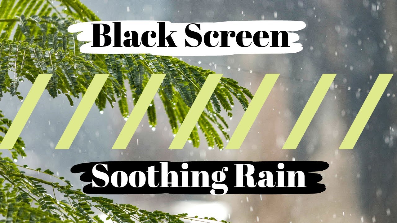 Relaxing rain | Rain sounds for sleeping | ASMR | Sleep music | Study ...