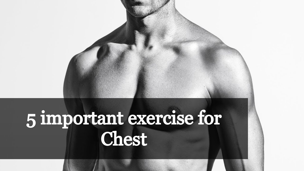 5 Must-Do Chest Exercises for a Stronger and Defined Chest | FitMantra ...