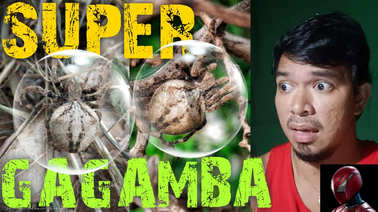 DAMBUHALANG GAGAMBA SA JAPAN(REACTION VIDEO) - YouTube