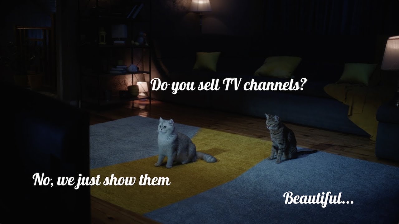 We don't sell, just show it - YouTube