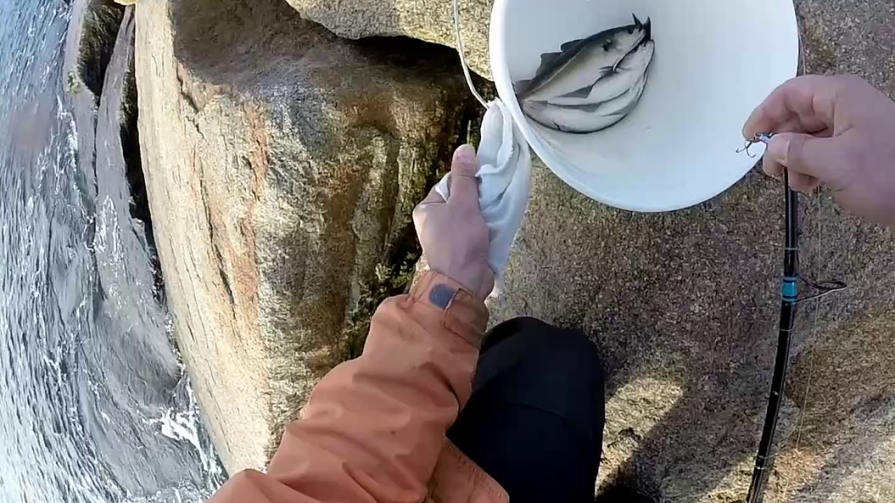 New England Pollock Fishing With Jigs From The Shore - YouTube