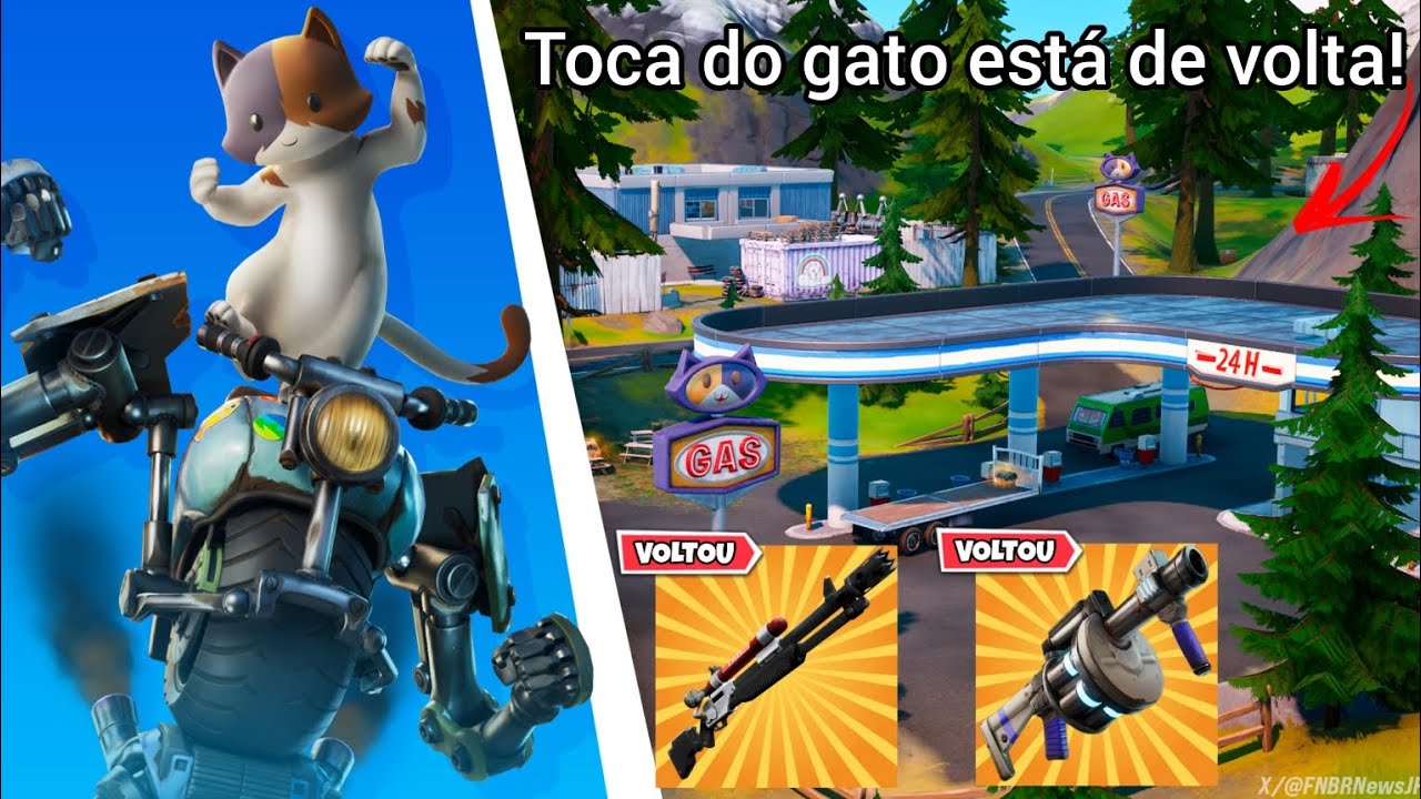 A TOCA DO GATO ESTÁ DE VOLTA! JUNTO COM SEUS ITENS MITÍCOS - YouTube