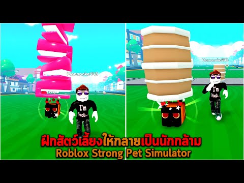 ฝึกสัตว์เลี้ยงให้กลายเป็นนักกล้าม Roblox Strong Pet Simulator - YouTube