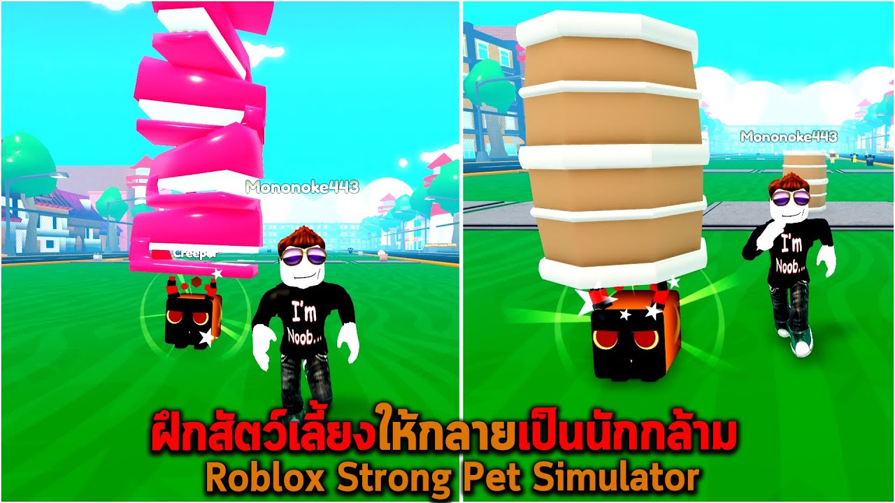 ฝึกสัตว์เลี้ยงให้กลายเป็นนักกล้าม Roblox Strong Pet Simulator - YouTube