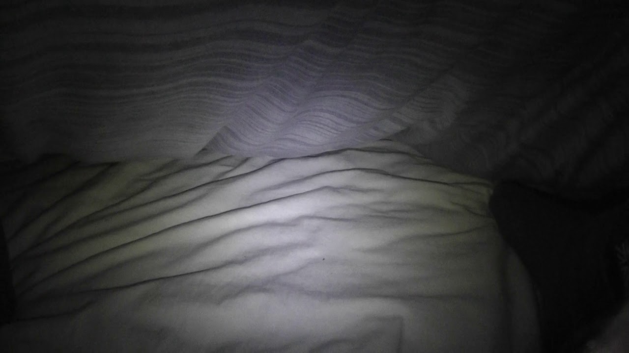 Farting In Bed Youtube