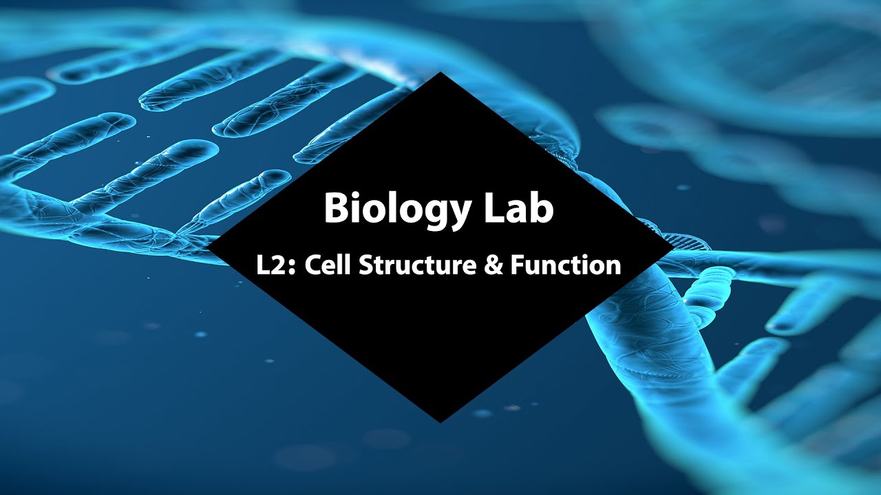 Biology Lab || L2: Cell Structure & Function || Abdullah Ramadan - YouTube
