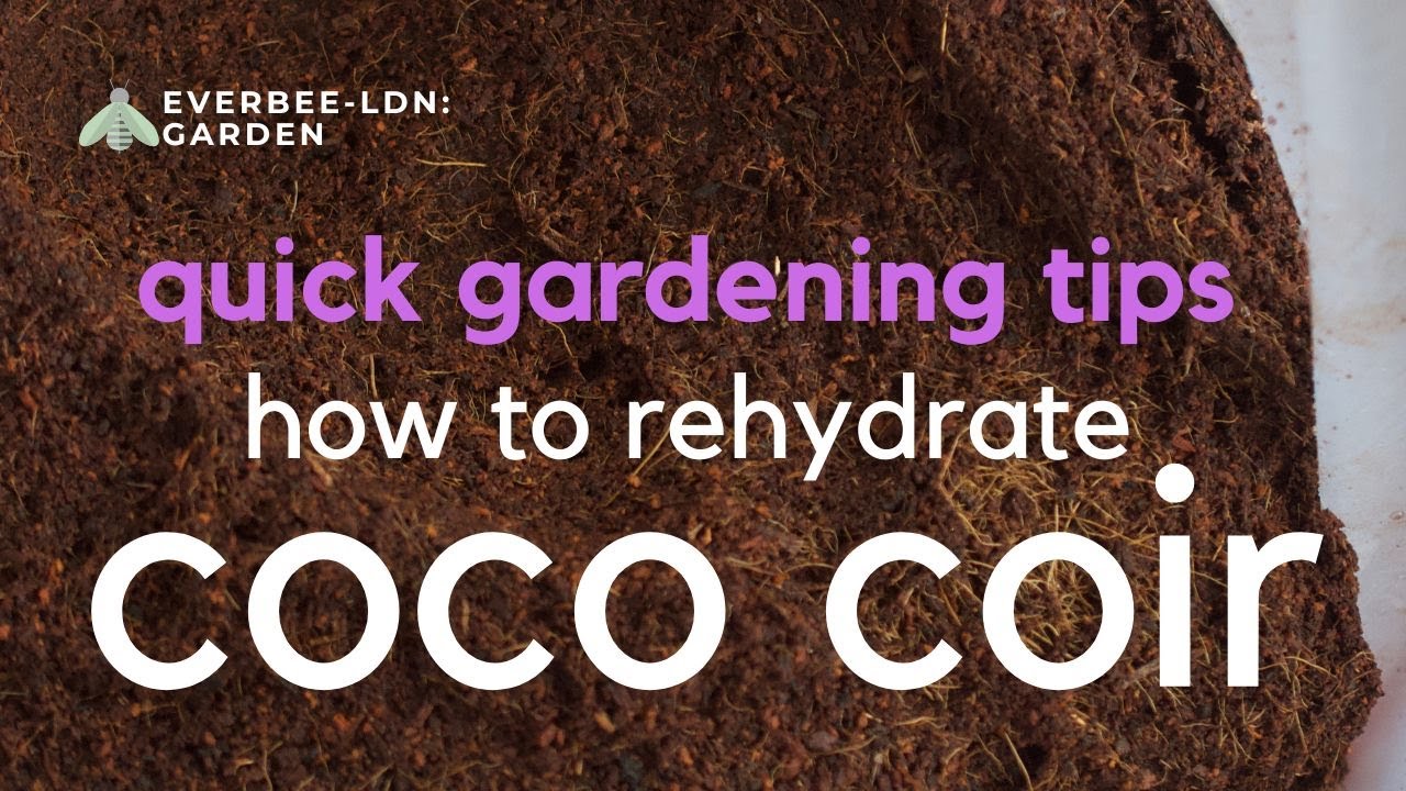 Quick Gardening Tips - best way to rehydrate coco coir blocks UPDATED ...