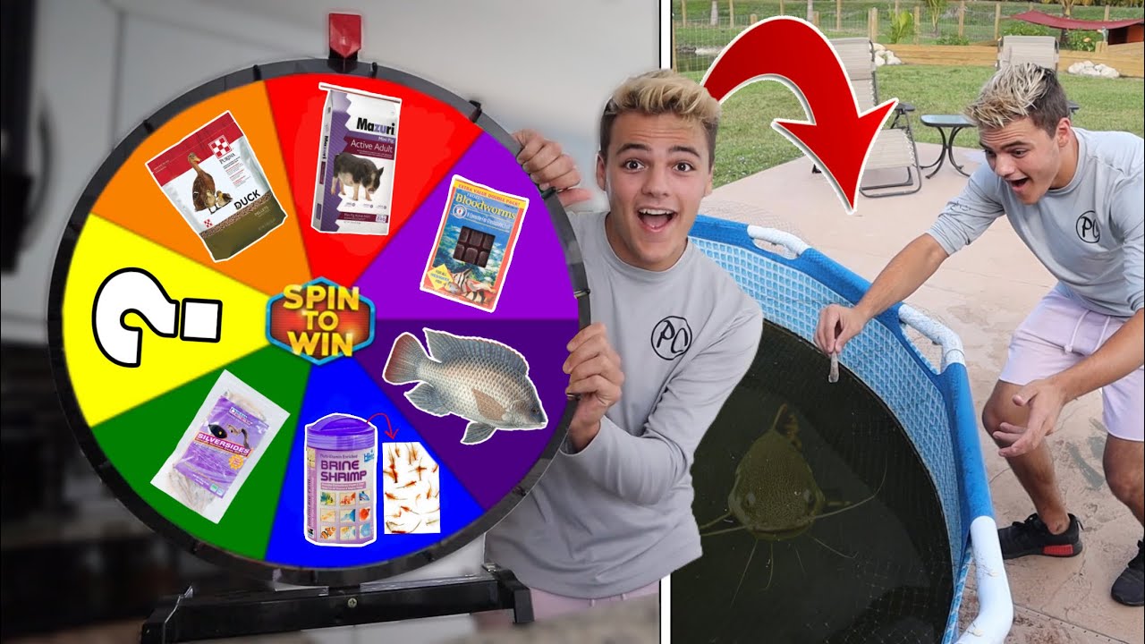 Spin the MYSTERY Wheel & FEED My FISH whatever it Lands on - Challenge ...