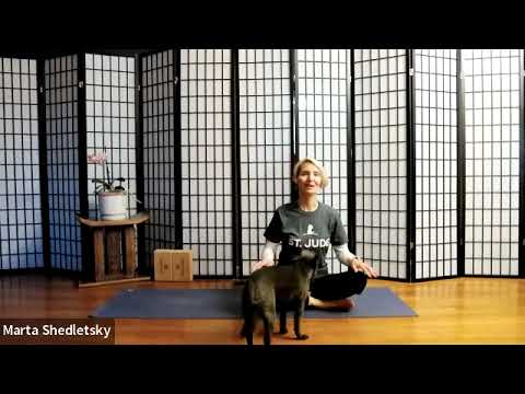 30-Minute Daily Yoga Challenge | St. Jude Fundraiser I Day 6