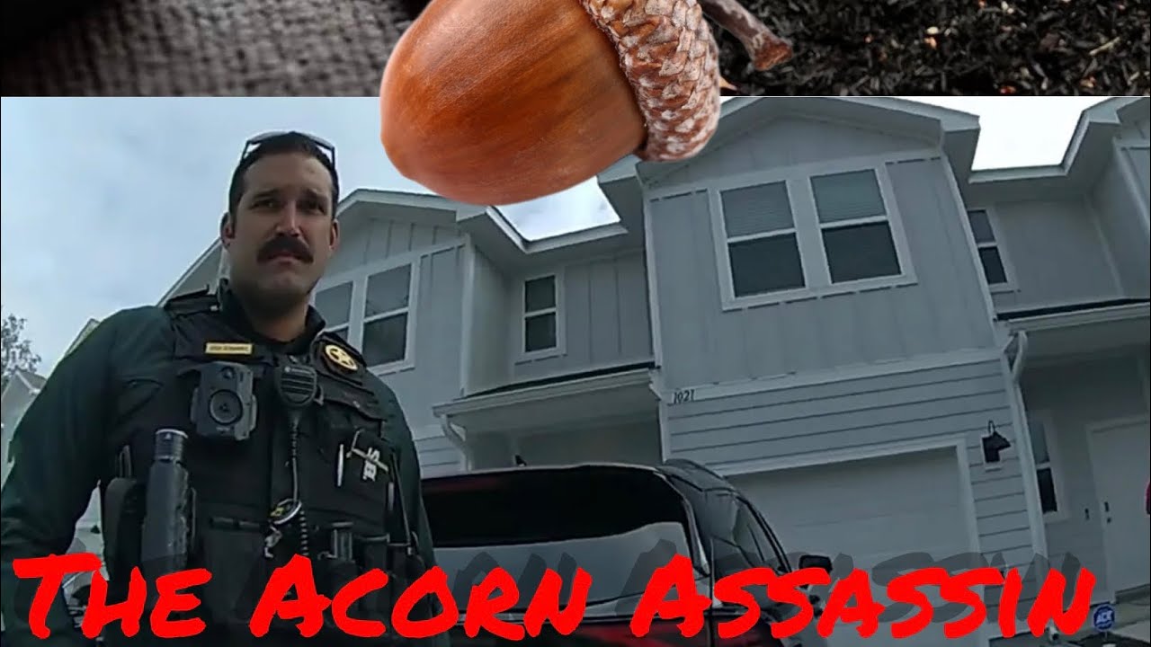 Cop Mistakes Falling Acorns For Gunshots (The Acorn Assassin) - YouTube