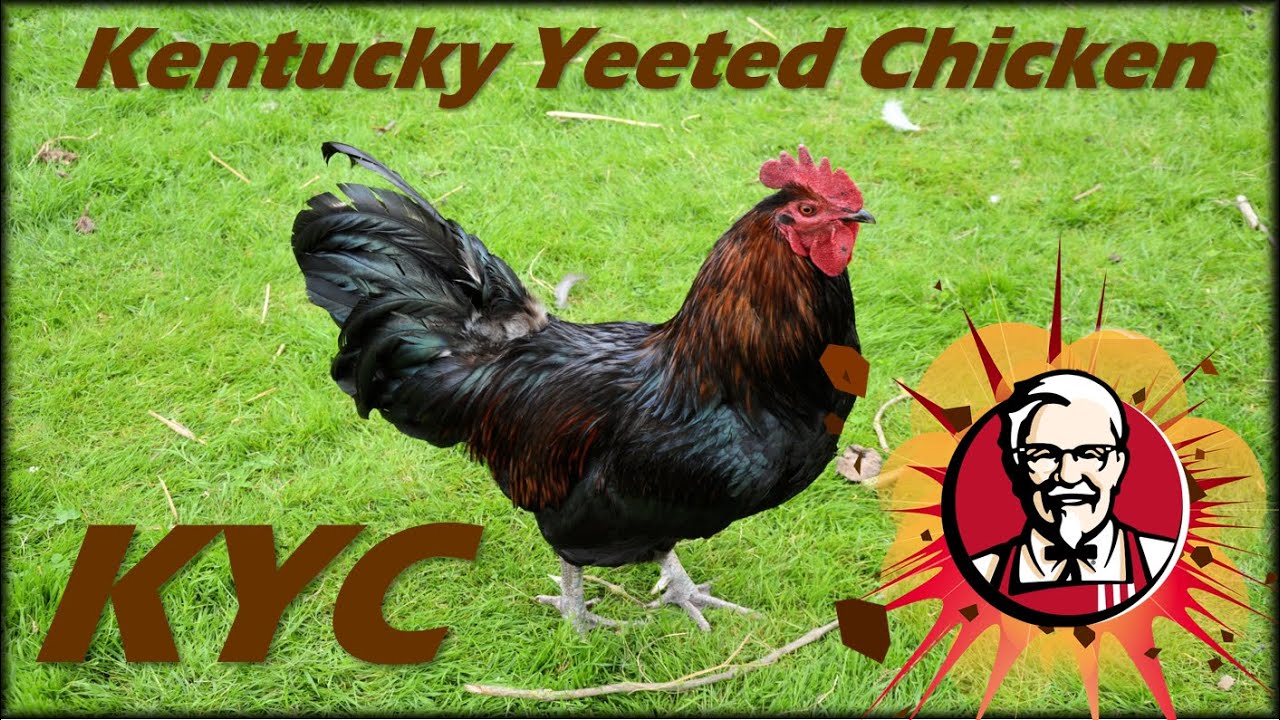 KYC / Kentucky Yeeted Chicken - YouTube