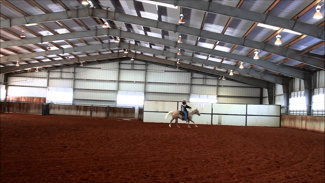 MP Jet To The Sun x Hay Val (Dashing Val) 2012 Filly - YouTube