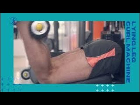 How To Use Lying Leg Curl Machine - YouTube