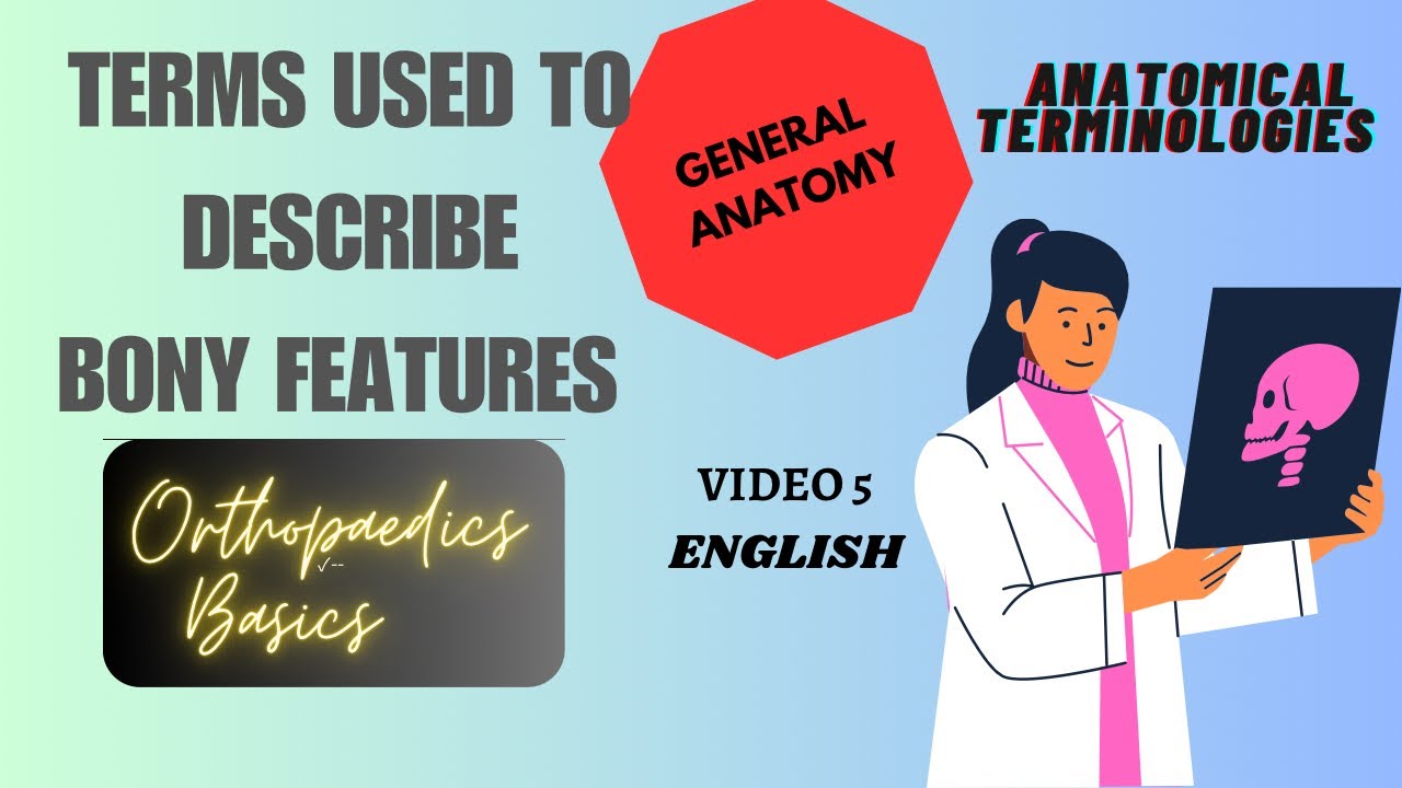 Terms used to describe bony features- Ortho basics - Anatomical ...