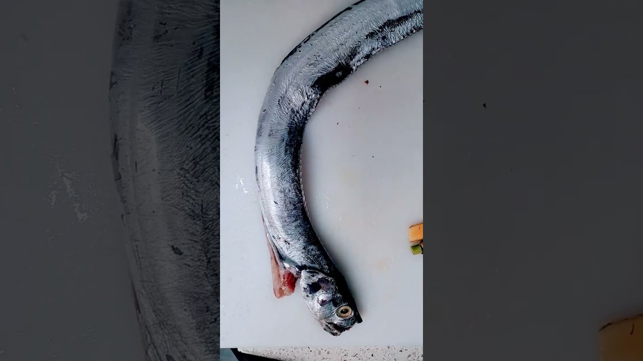 belt fish cooking - YouTube