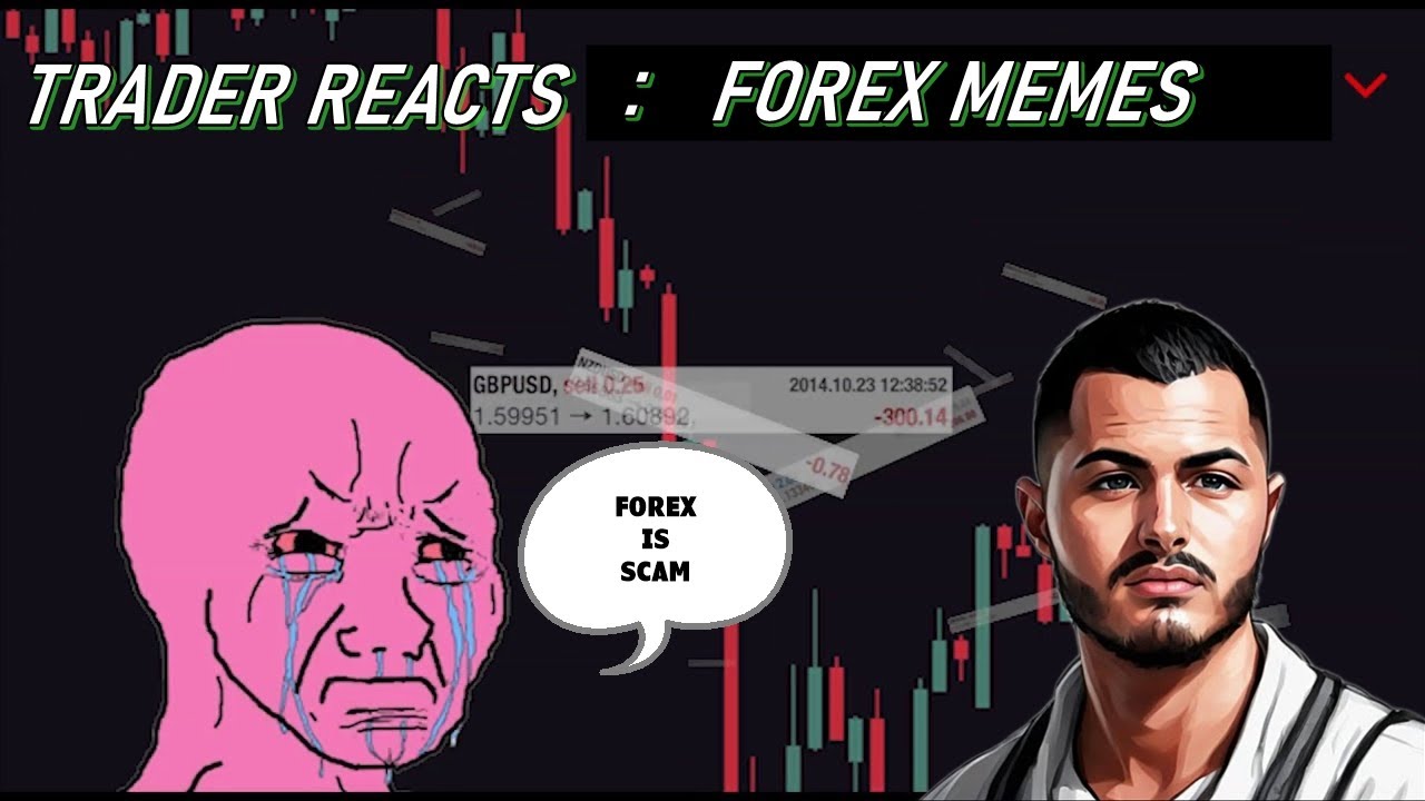 TRADER REACTS : Forex Memes - YouTube