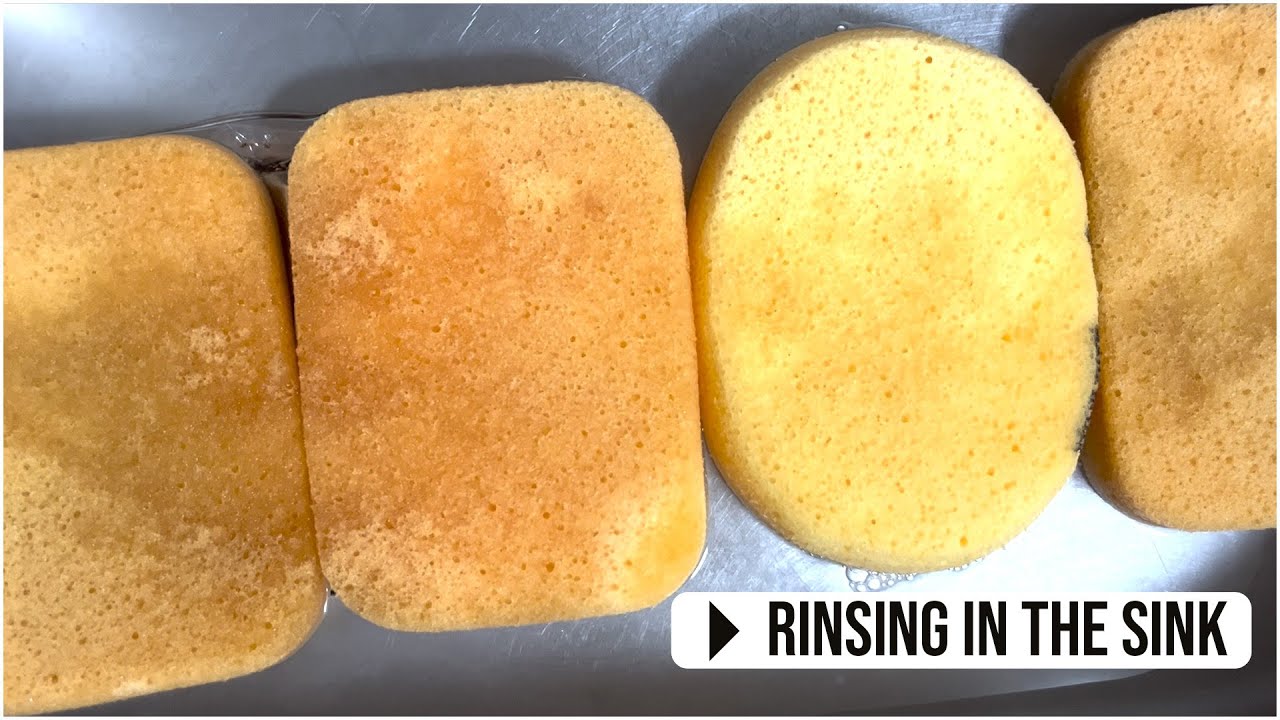 [ASMR] SPONGE SQUEEZING - HOW I RINSE MY SPONGES IN THE SINK - YouTube