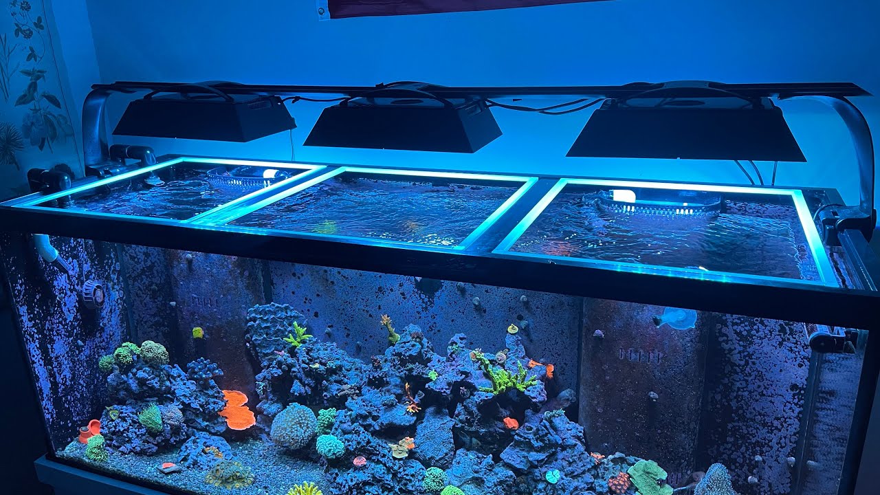 DIY Screen Top- Reef Aquarium - YouTube