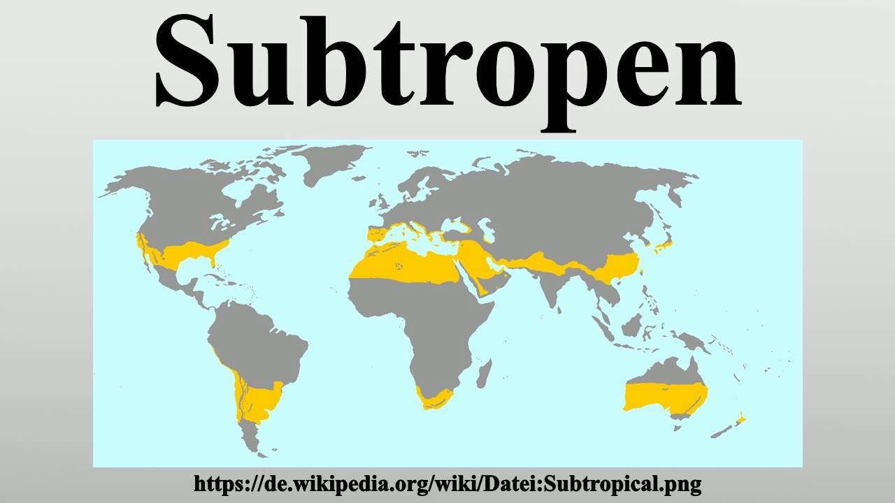 Subtropen - YouTube