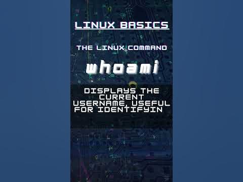 Basic Linux Command - whoami - YouTube