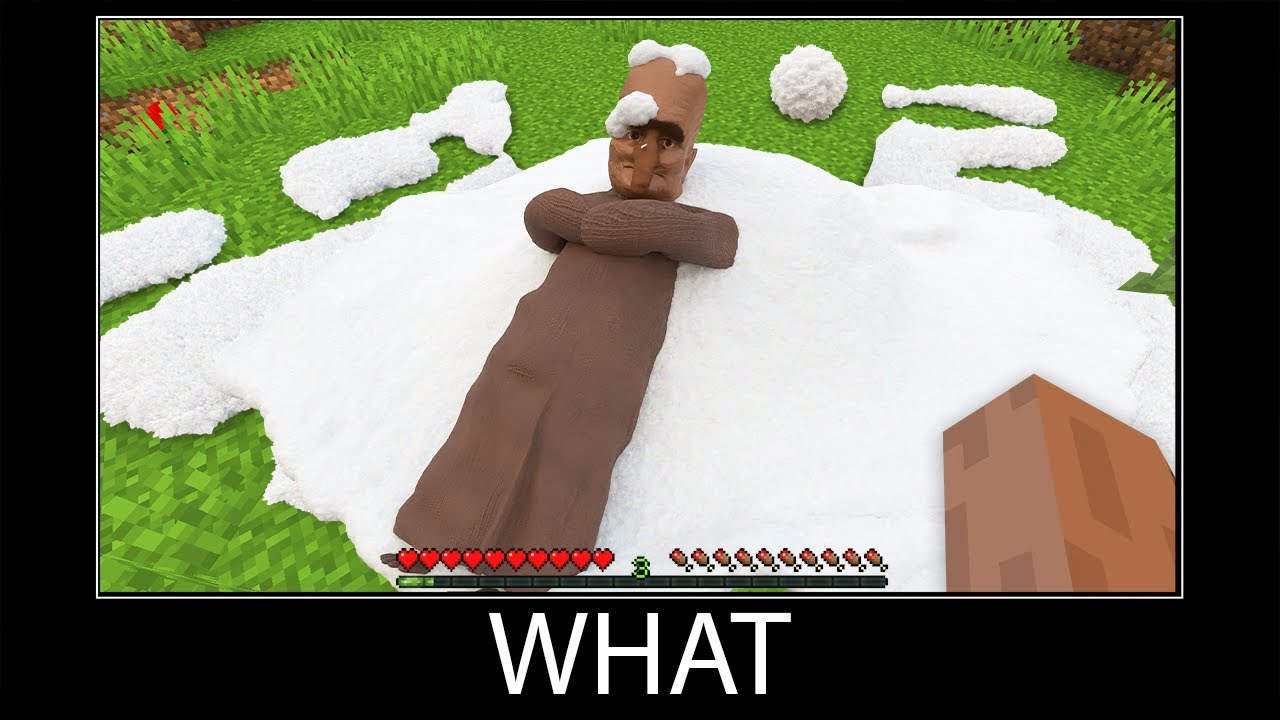 Minecraft wait what meme part 306 realistic minecraft snow animation ...