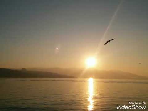 Amator siir seslendirmesi