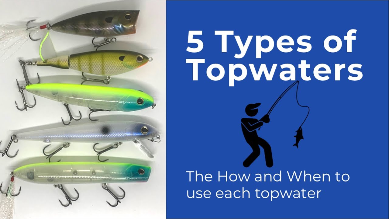 The 5 Types of Topwaters: How & When to Use Them. - YouTube