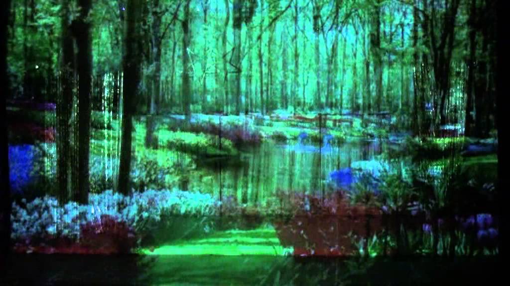 STEAUA DE STICLA DAN ARDELEAN - YouTube