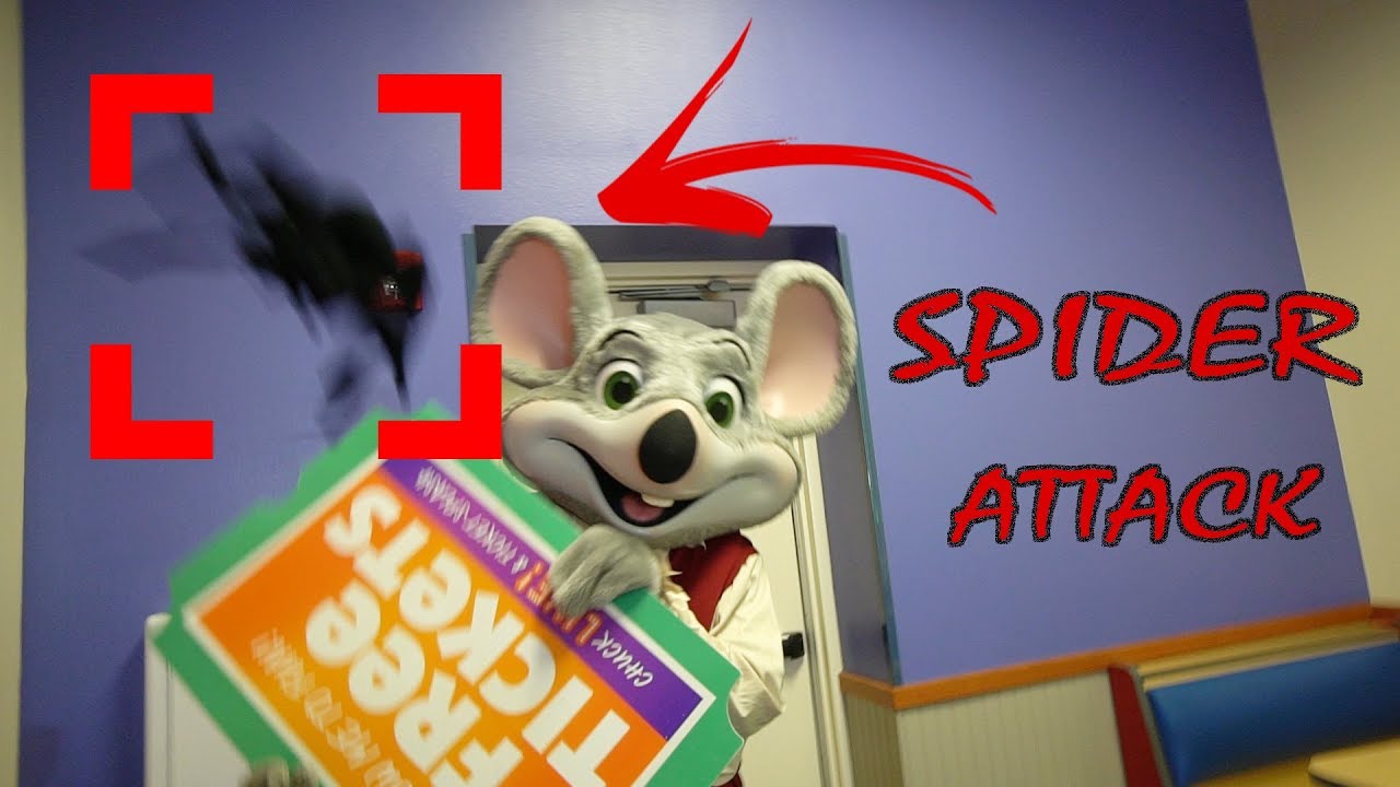 Chuck E Cheese is scared of flying spider! - YouTube