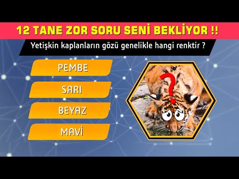 KENDİNLE YARIŞ !! 12 Soruluk Bilgi Yarışması