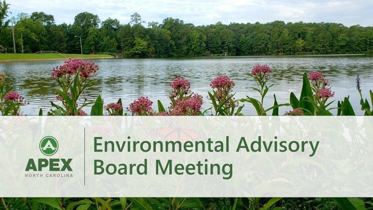 2024.06.20 Environmental Advisory Board Meeting - YouTube