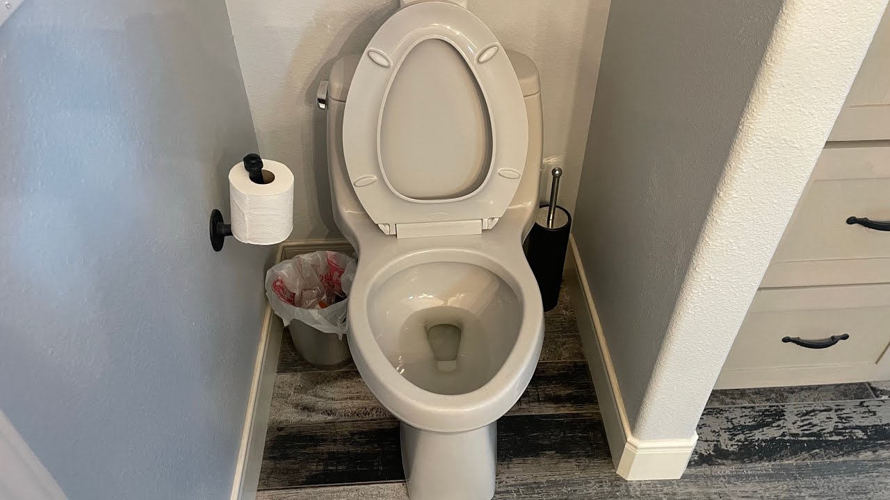 Grey-Colored Kohler Santa Rosa Toilet. - YouTube